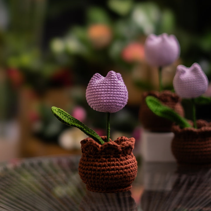 Make Your Own Zappy - Buy Customized Gift Hampers Online – The Zappy Box