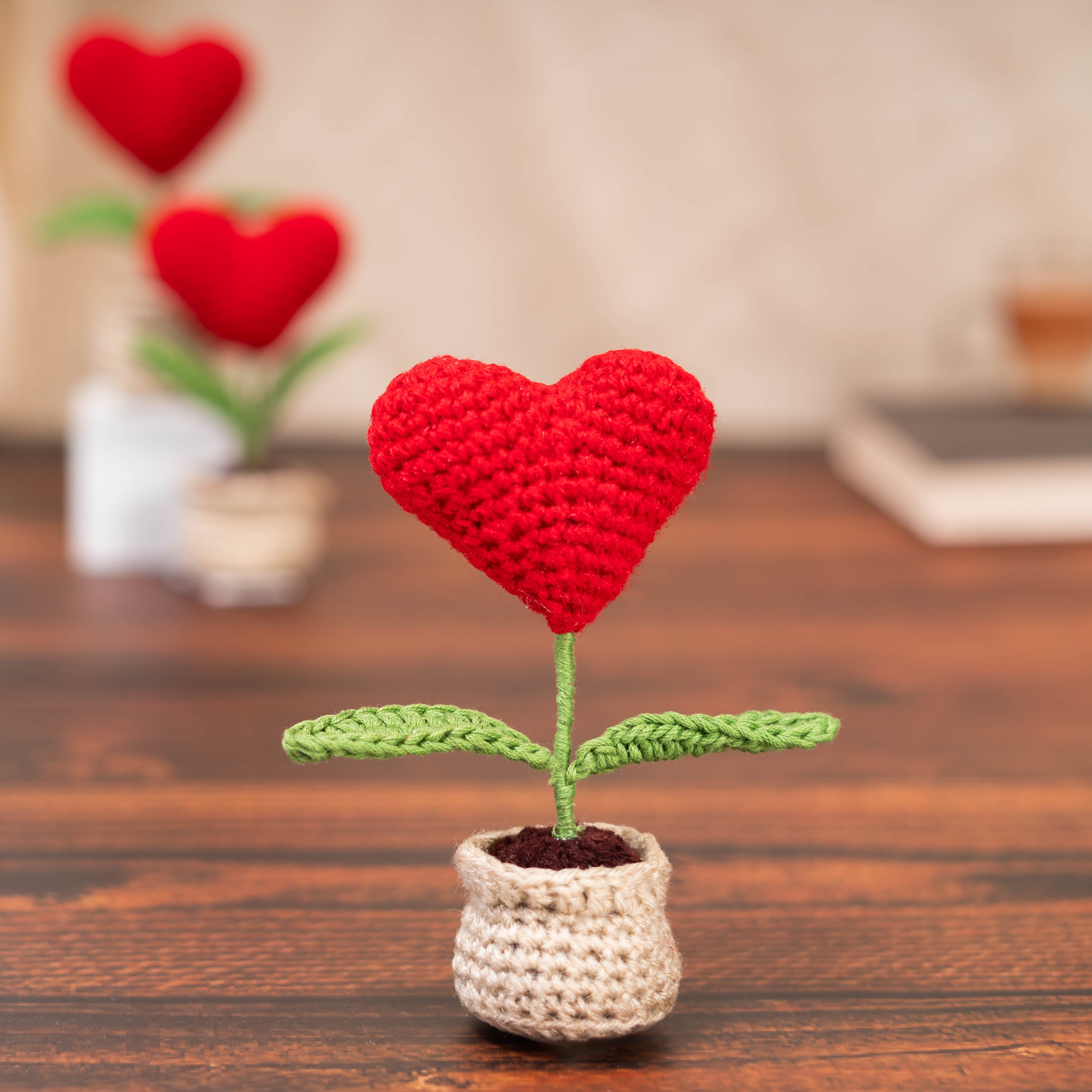 Crochet Heart Pot – The Zappy Box
