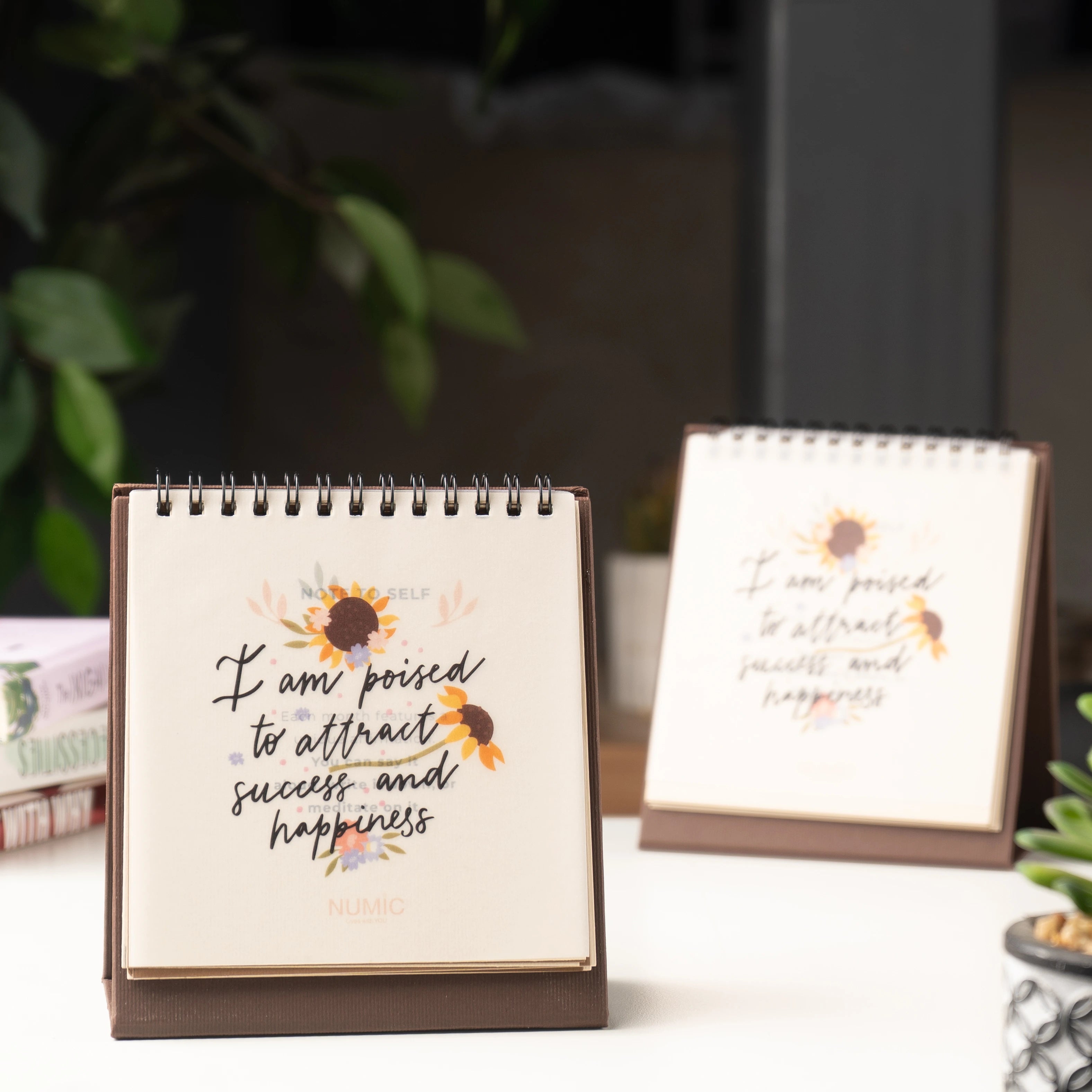 Affirmation Desk Calendar - Shop Daily Motivation Calendar | The Zappy Box