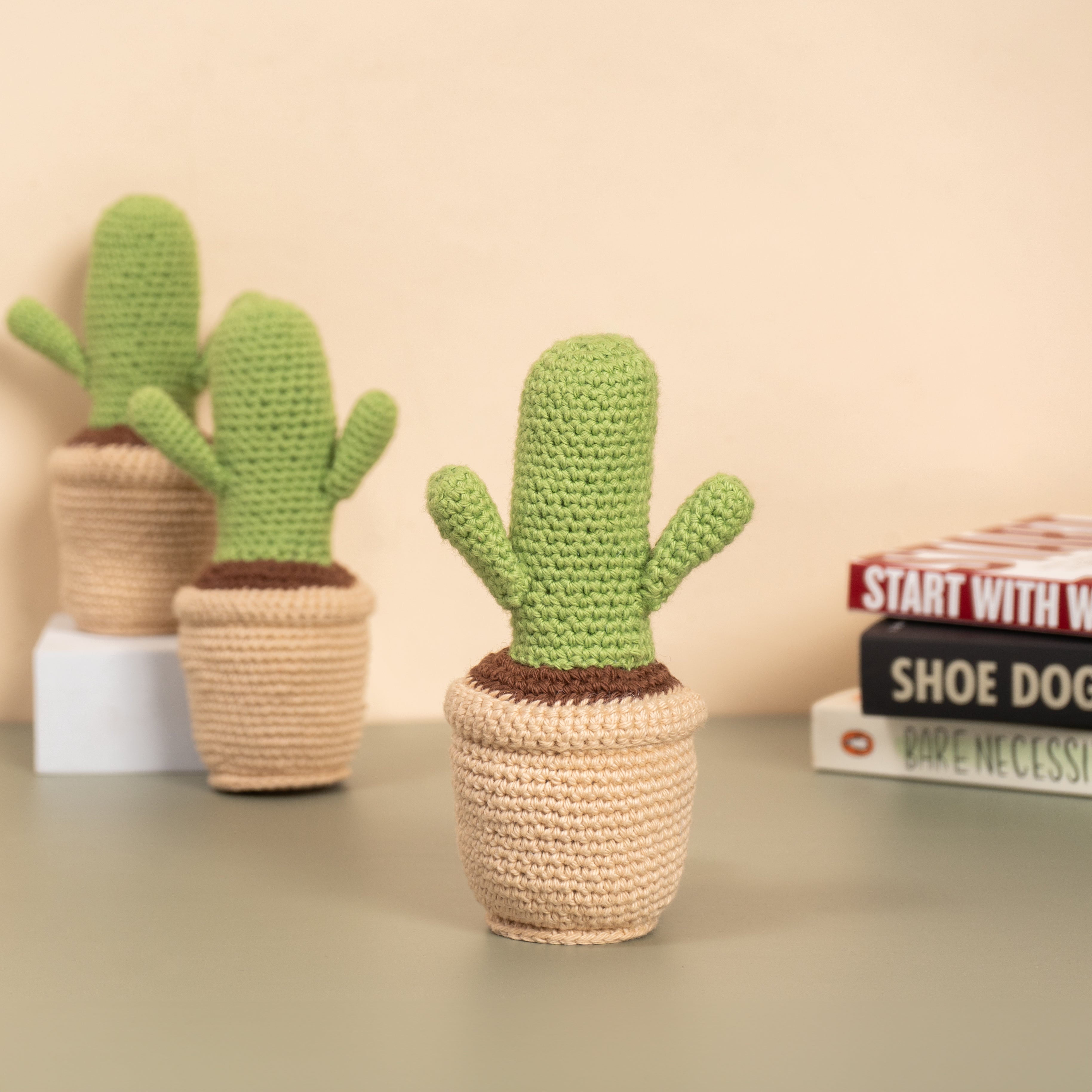 Crochet Cactus Pot - Best Crochet Gift | The Zappy Box