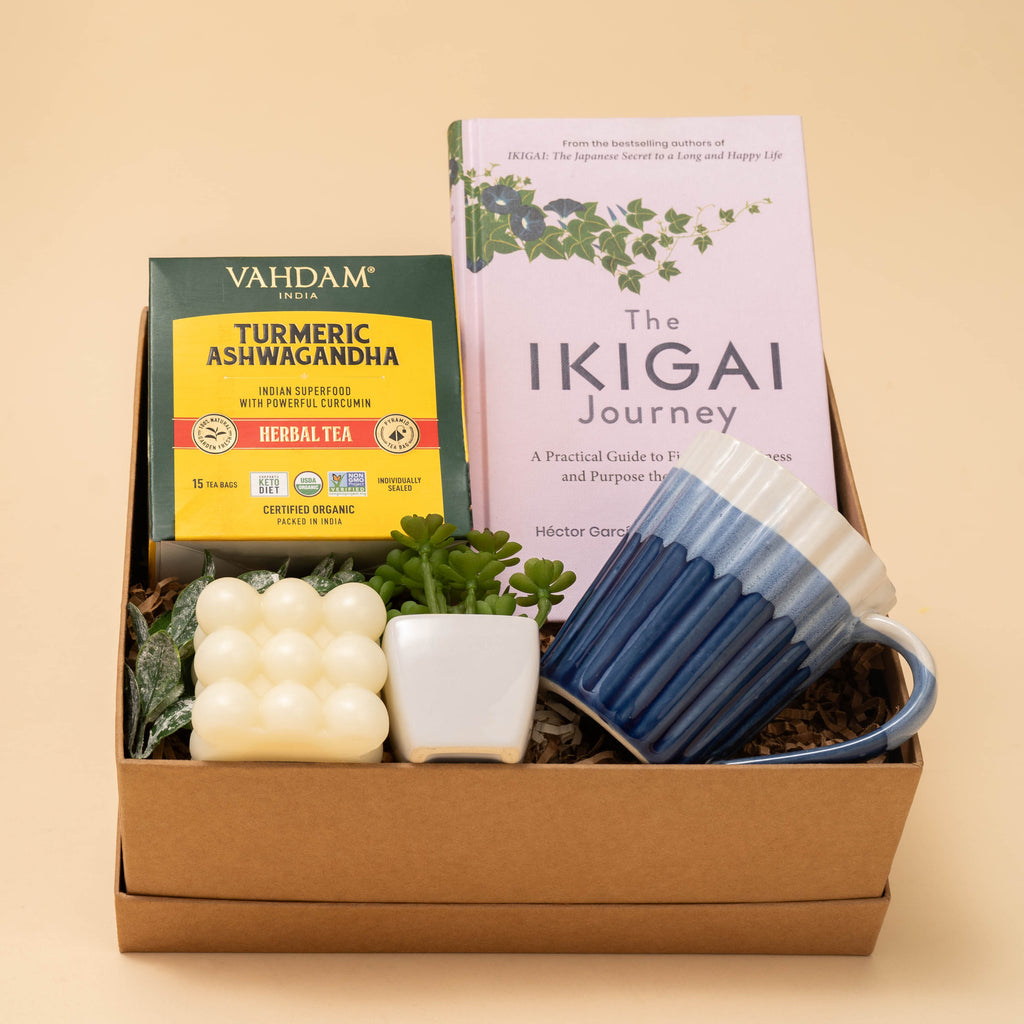 Wishing Wellness #2: Curated Farewell Gift For Colleague – The Zappy Box