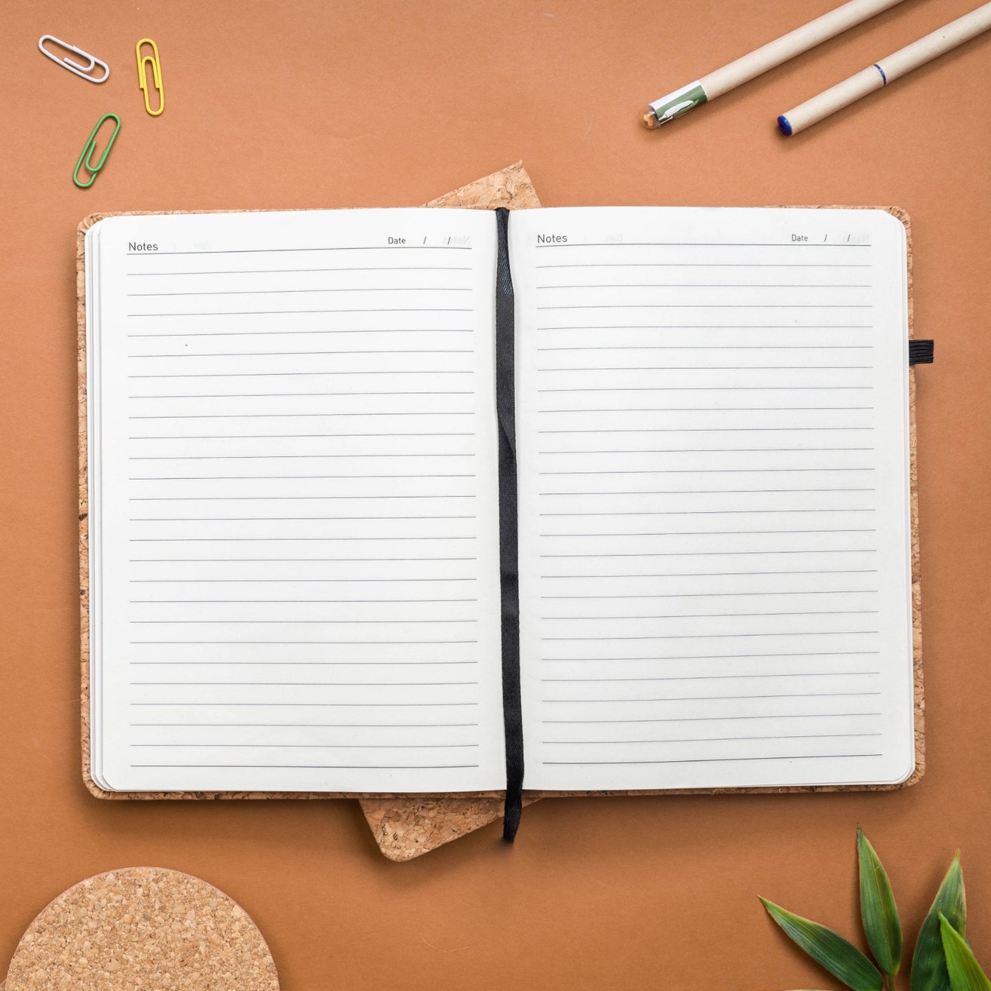 Cork Diary – The Zappy Box