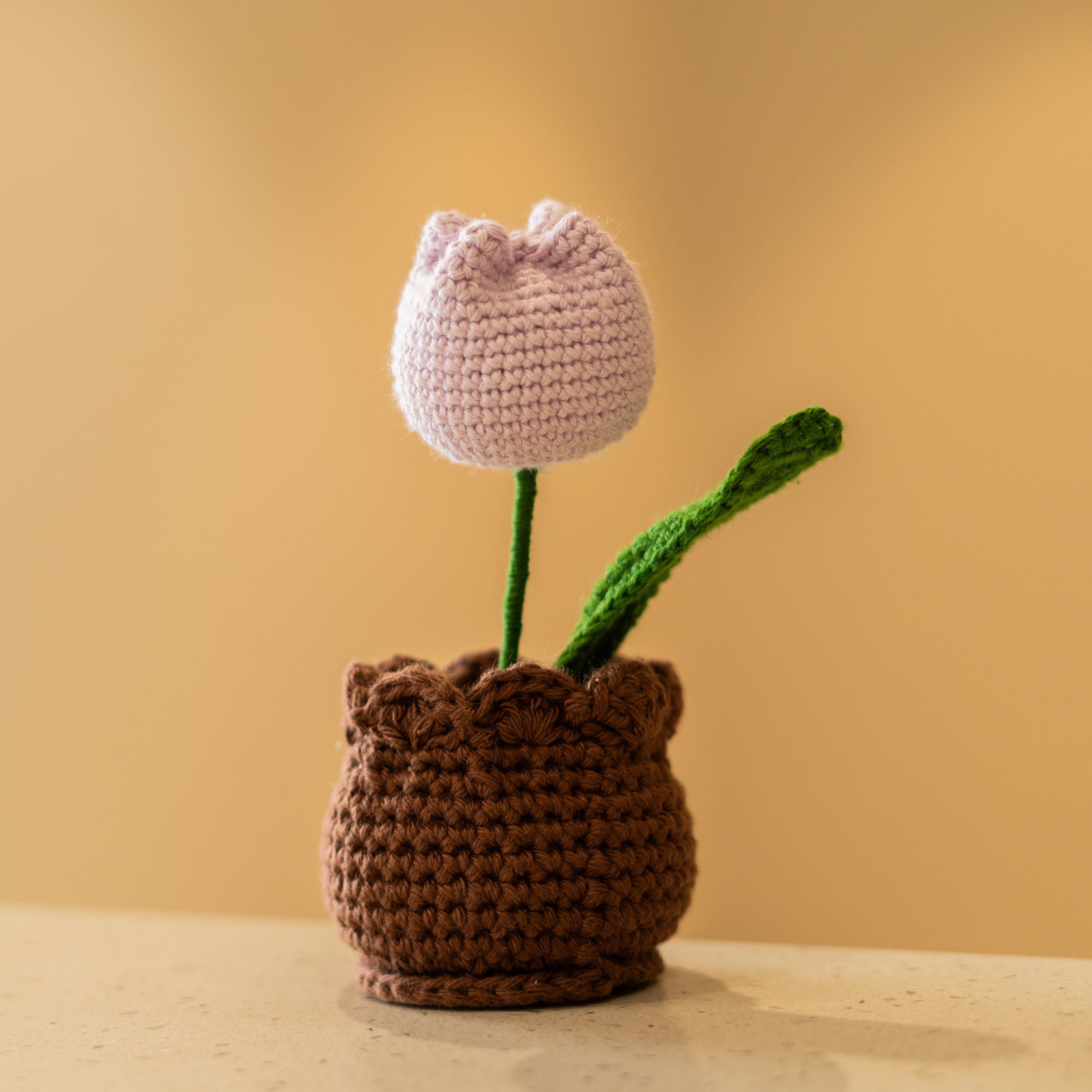 Crochet Tulip Pot – Handcrafted Phool Guldasta | The Zappy Box